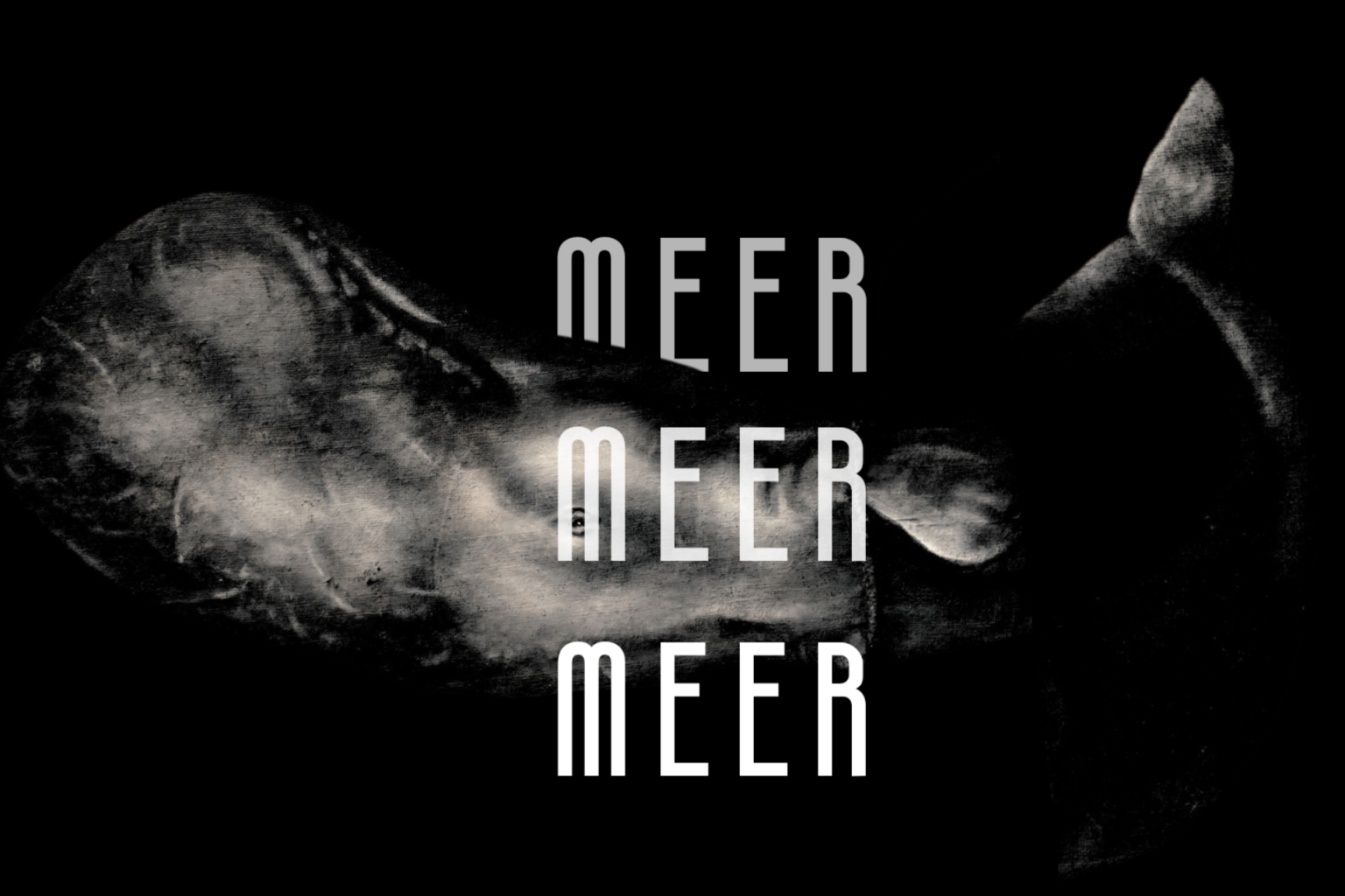 MEER MEER MEER [Mit dem Team des künftigen Biodiversitätsmuseums ...